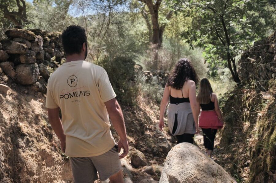 Hiking in Nature: Guided paths passing through Marvão - Value and Practical Aspects