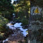 Hiking in Parnitha National Park from Athens - The Sum Up: Is This the Right Hike for You?