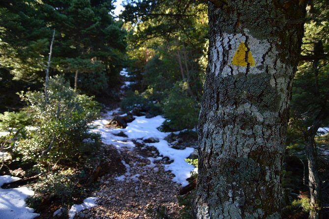 Hiking in Parnitha National Park from Athens - The Sum Up: Is This the Right Hike for You?