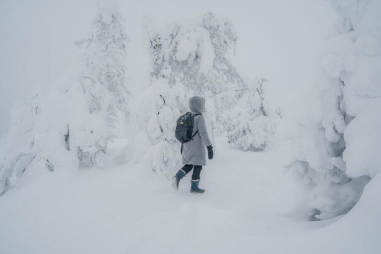 Hiking in Riisitunturi National Park with Photographer - What’s Included and What’s Not