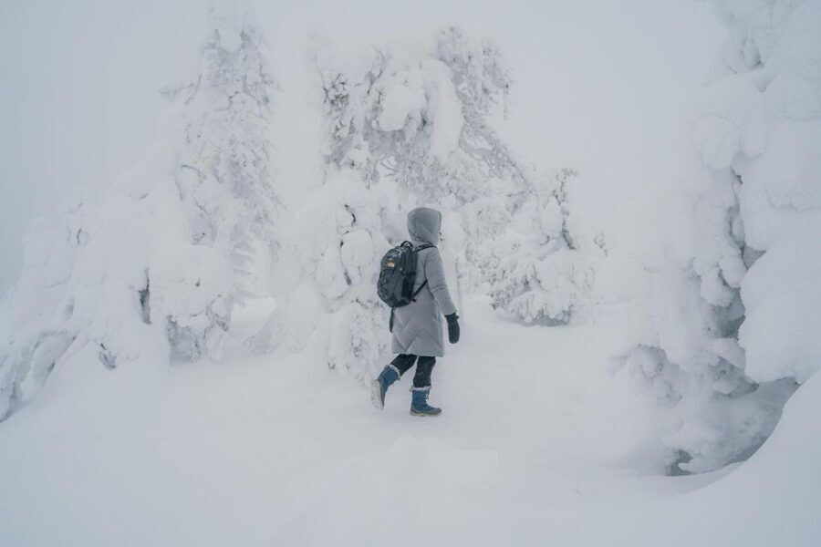 Hiking in Riisitunturi National Park with Photographer - What’s Included and What’s Not