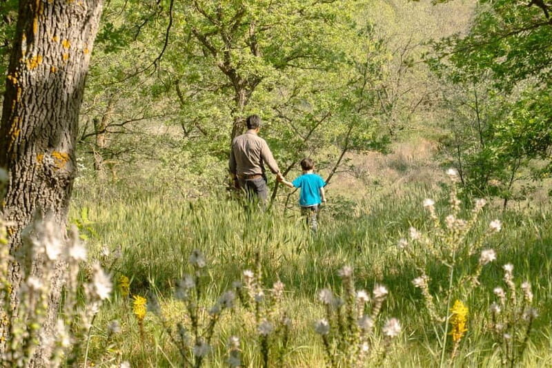 Hiking in the Alta Murgia National Park: the forest and the ancient farmhouse - Final Thoughts