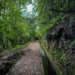 Hiking Madeira: Levada do Rei and the Majestic Laurissilva - Detailed Breakdown of the Itinerary