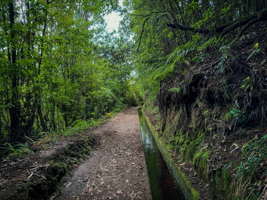 Hiking Madeira: Levada do Rei and the Majestic Laurissilva - Detailed Breakdown of the Itinerary