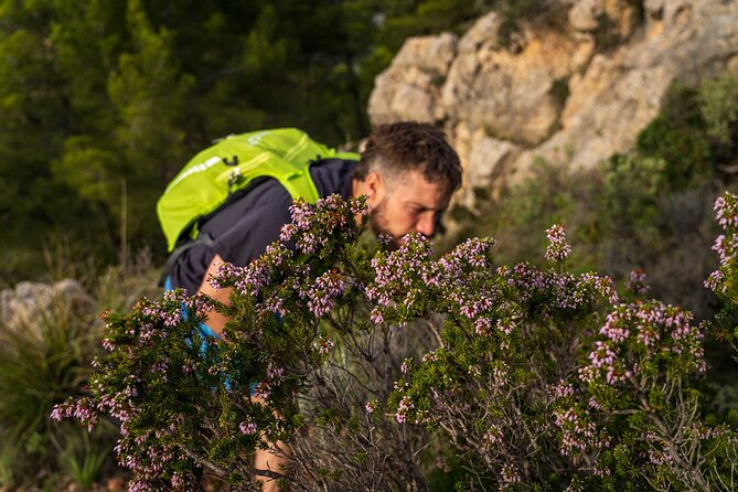Hiking Tour into the sunset - Port Andratx to Sant Elm - An Authentic Mallorca Experience with Scenic Rewards