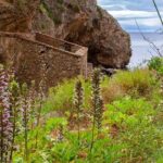 Hiking Tour to the Paradise Beach - The Coastal Hike: Panoramas and Endemic Plants