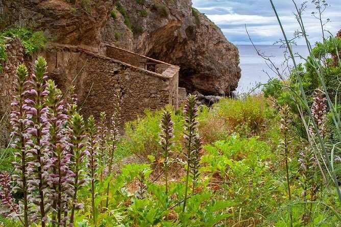 Hiking Tour to the Paradise Beach - The Coastal Hike: Panoramas and Endemic Plants