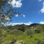 Hiking tour with a dream view of the former monastery of Sant Salvador, 3-4 hours. - Key Points