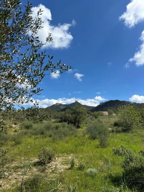 Hiking tour with a dream view of the former monastery of Sant Salvador, 3-4 hours. - Key Points