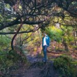Hiking Trails - An In-Depth Look at the Hiking Trails Experience