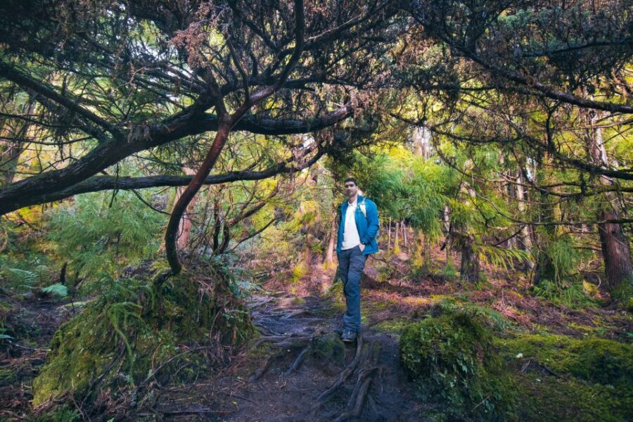 Hiking Trails - An In-Depth Look at the Hiking Trails Experience
