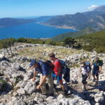 Hiking Vrmac peninsula with panoramic view on Kotor bay - Highlights Along the Way