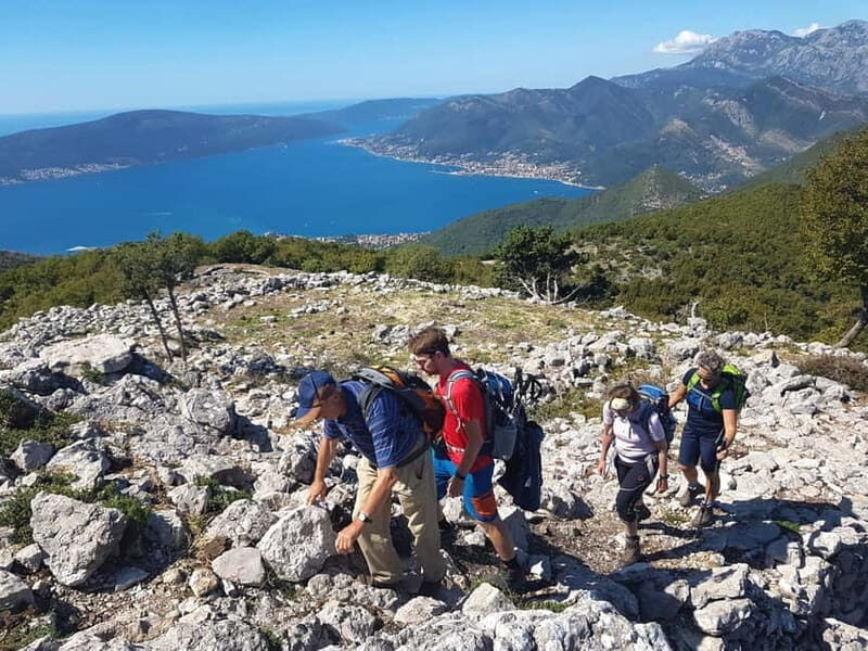 Hiking Vrmac peninsula with panoramic view on Kotor bay - Highlights Along the Way
