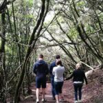 hikking tour in Anaga - Key Points