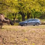 Hilvarenbeek: Safaripark Beekse Bergen Entry Ticket - Who Would Love This Park?