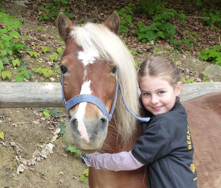 Hirschburg: Day at the stables - Final Thoughts