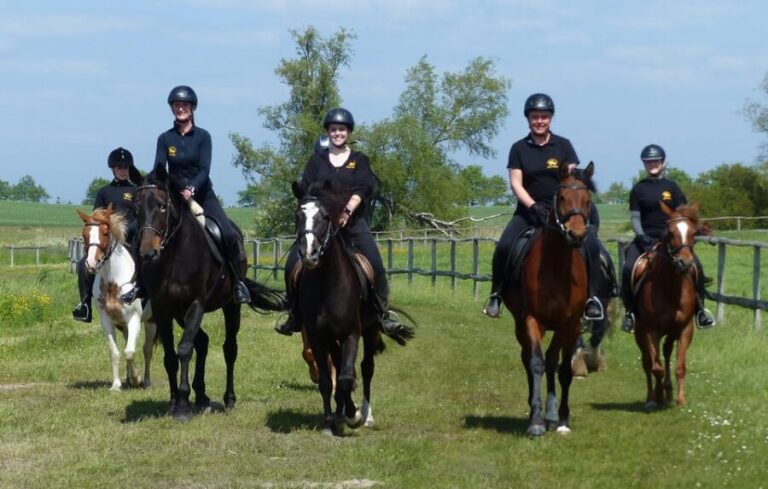 Hirschburg: Horseback riding for beginners - The Scenic Setting