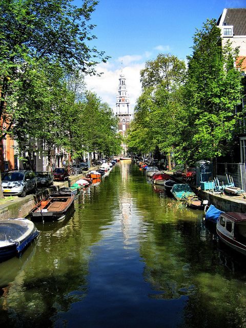 Historic Amsterdam 2-Hour Private Tour with Local Guide - The Red Light District: More Than Just Neon Lights