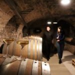 Historic Center of Dijon : Discovery Tasting Wine Burgundy - The Itinerary Breakdown