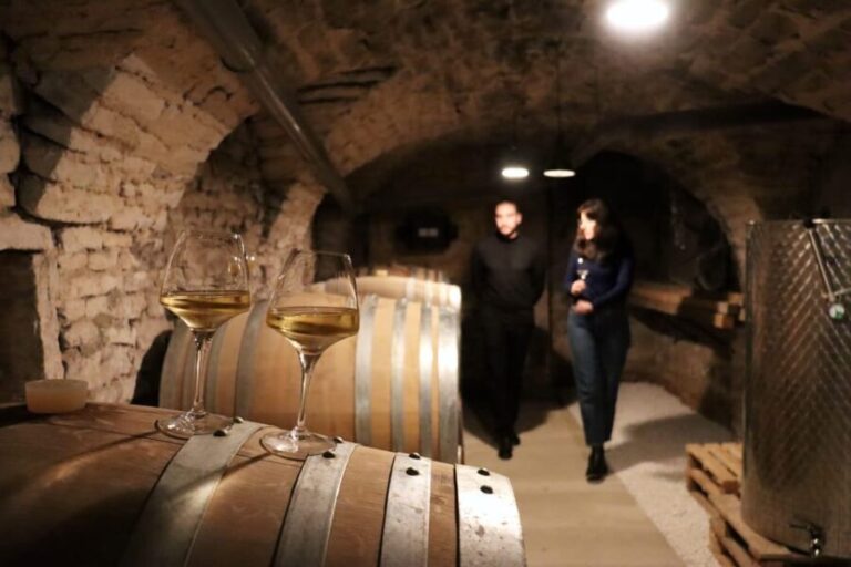Historic Center of Dijon : Discovery Tasting Wine Burgundy - The Itinerary Breakdown