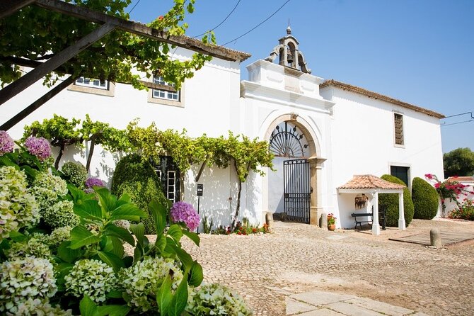 Historic Winery Tour and Tasting in Bombarral - Key Points