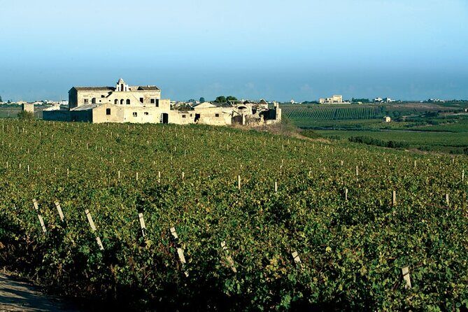 Historic winery visit with food and wine tasting in Marsala - What the Reviews Reveal: Authenticity, Knowledge, and Enjoyment