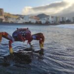 Historical Tour City of Santa Cruz de La Palma - Practical Details: What You Need to Know