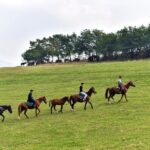 Historical Trail Rides - Key Points