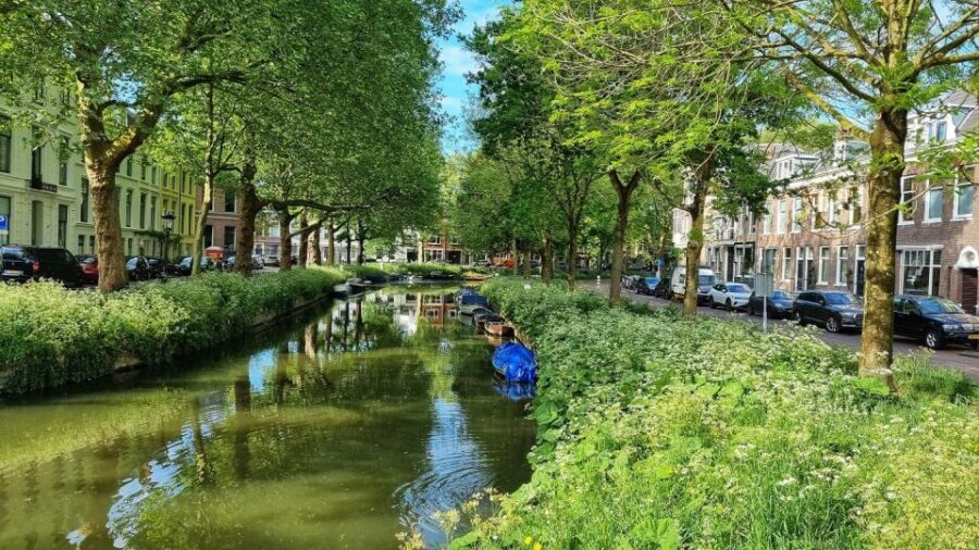 Historical Utrecht: Private Tour with Local Guide - A Step-by-Step Look at the Itinerary