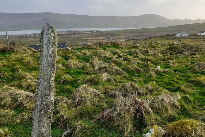 Historical Walking Tours in Valentia and the Skellig Region - Who Is This Tour Best For?