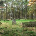 History and Nature: Full-Day Private Tour from Aberdeen - Analyzing the Value