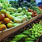History and Tradition Tour of Local Products of La Orotava - Practical Details
