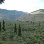Hking in the Olive Groves,Villages,Sunset,with Swim Stop - The Highlights of the Hiking Route