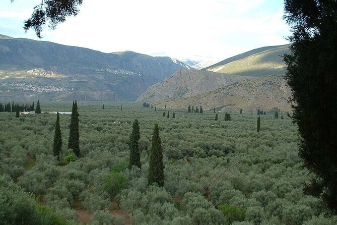 Hking in the Olive Groves,Villages,Sunset,with Swim Stop - The Highlights of the Hiking Route