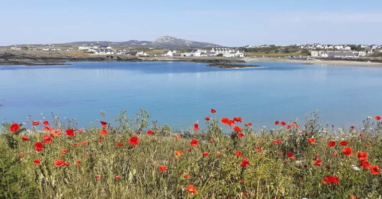 Holyhead: Holy Island Anglesey Coastal Hike - Final Thoughts: Is It Worth It?