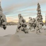Hønefoss: 2-Day Moose Safari in Oslo's Wilderness - Entering Norway’s Wilderness: A Closer Look at the Itinerary