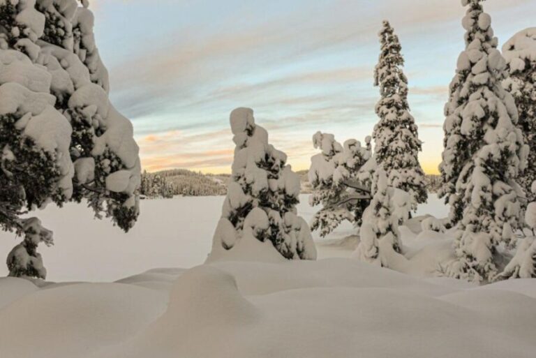 Hønefoss: 2-Day Moose Safari in Oslo's Wilderness - Entering Norway’s Wilderness: A Closer Look at the Itinerary