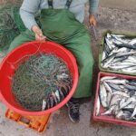 Hooked on Sesimbra - What Travelers Are Saying