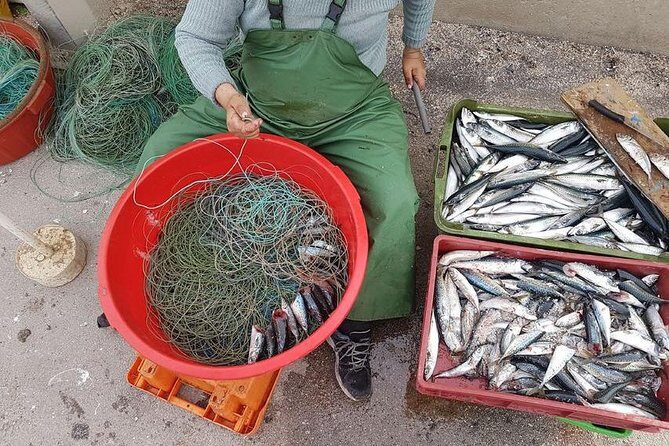 Hooked on Sesimbra - What Travelers Are Saying