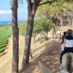 Horse back riding + wine tasting in Ramatuelle - In-Depth Look at the Itinerary