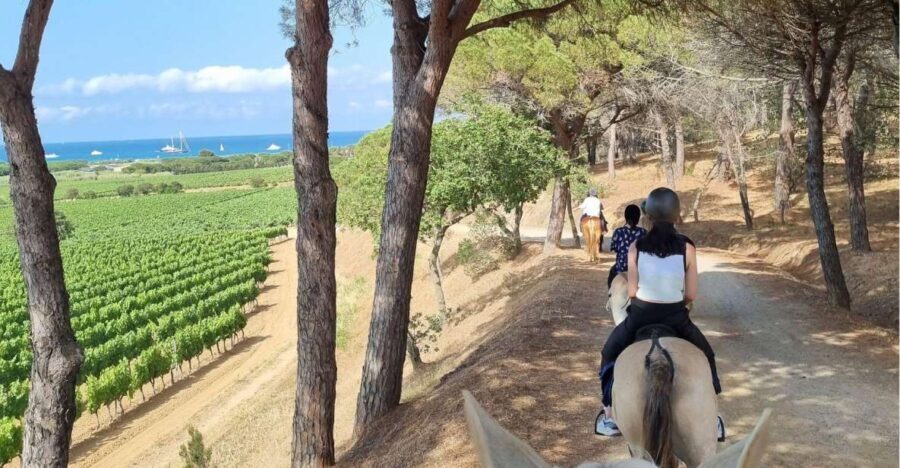 Horse back riding + wine tasting in Ramatuelle - In-Depth Look at the Itinerary