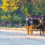 Horse-Drawn Carriage Ride Through Seville - Why This Tour Works Well
