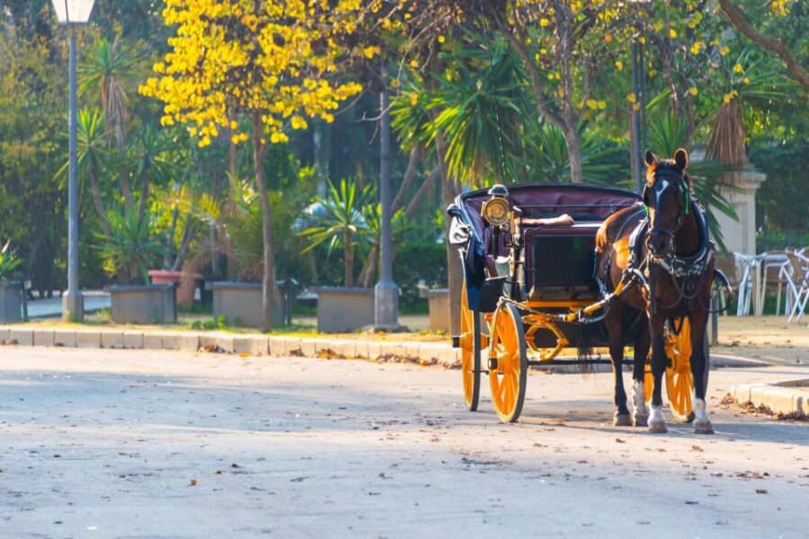 Horse-Drawn Carriage Ride Through Seville - Why This Tour Works Well