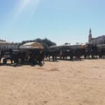 Horse-Drawn Carriage Route Through Doñana Park and The Villa - The Experience’s Strengths and Weaknesses