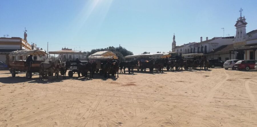 Horse-Drawn Carriage Route Through Doñana Park and The Villa - The Experience’s Strengths and Weaknesses