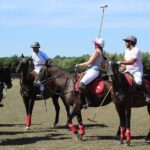 Horse & Polo in Windsor, UK - The Core: The Polo Lesson