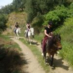 HORSE RIDING 1.5 hours mountains from area Hersonissos CRETE - Cost and Value Analysis