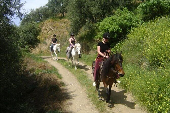 HORSE RIDING 1.5 hours mountains from area Hersonissos CRETE - Cost and Value Analysis