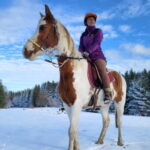Horse Riding Day Trip in the Rila Mountain - The Itinerary Breakdown