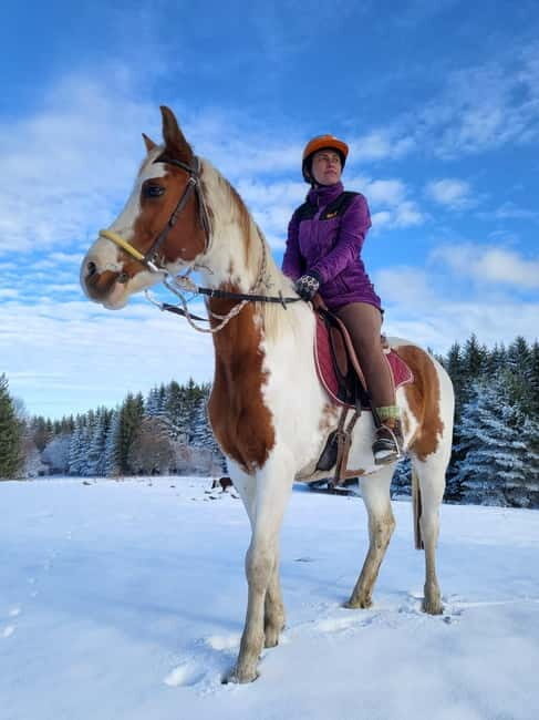 Horse Riding Day Trip in the Rila Mountain - The Itinerary Breakdown